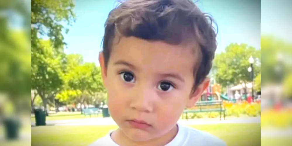 Veja tudo que se sabe sobre o caso do menino Arthur até o momento ...